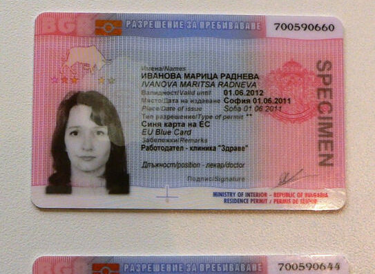Пътят до Синята карта Екатерина Попова Кариери Новини Karieri Bg